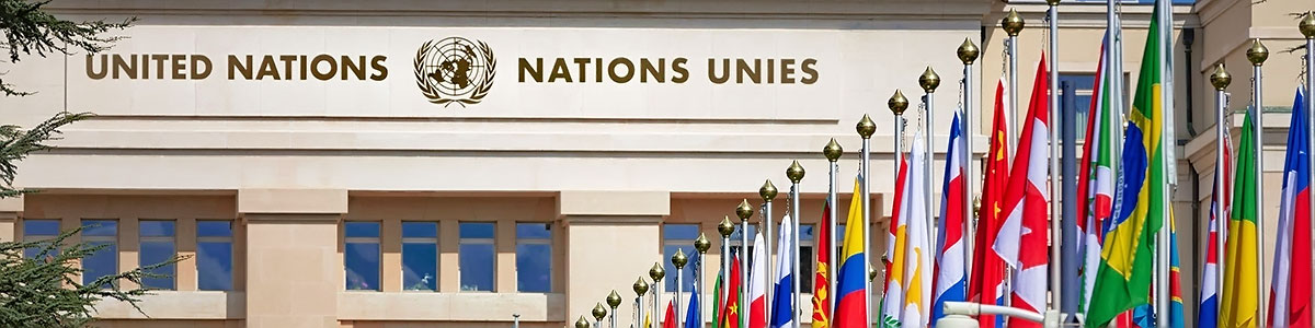 Security of government buildings and VIP protection – LINEV Systems